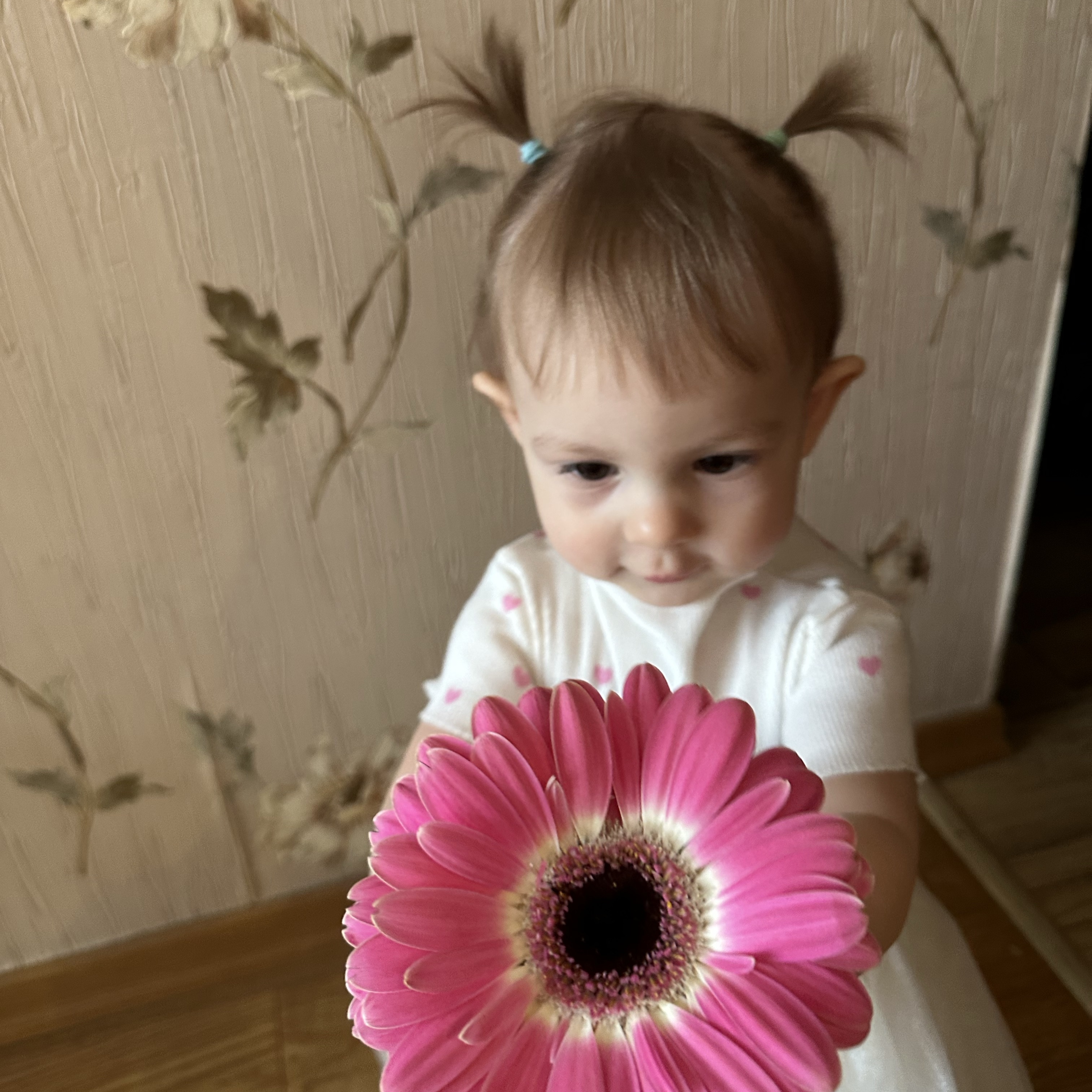 Вакансия: Няня на постоянную основу, Сочи на НашаНяня.ру